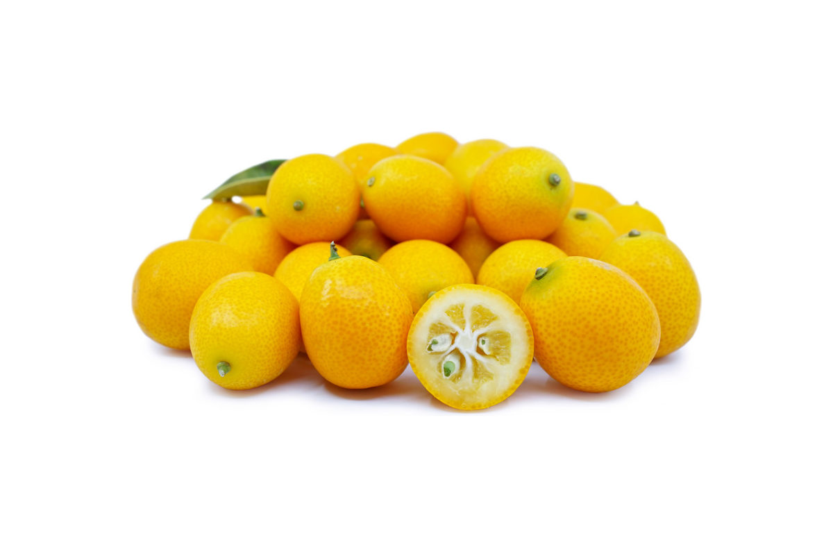 Citrus Variety Guide - Veritable Vegetable