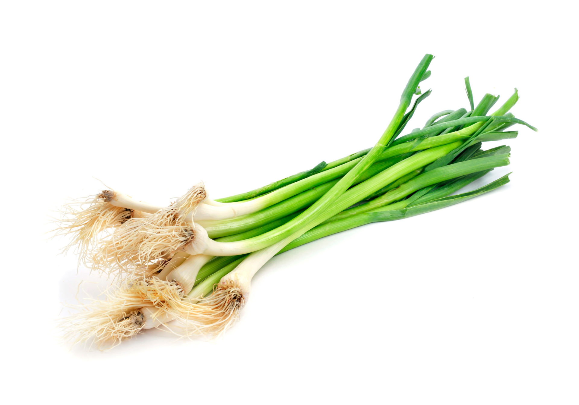 All About Cabbage - Veritable Vegetable