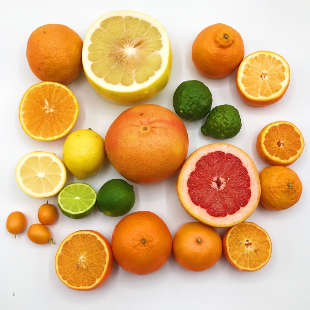 Winter Citrus - Veritable Vegetable
