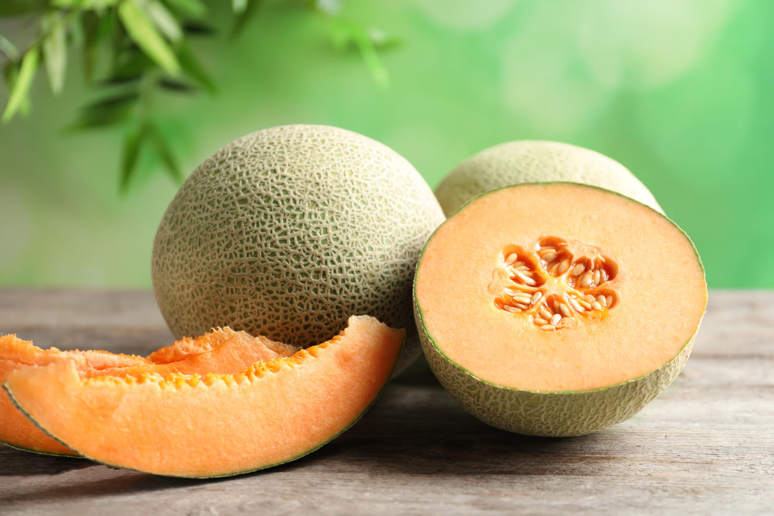 One in a Melon - Veritable Vegetable