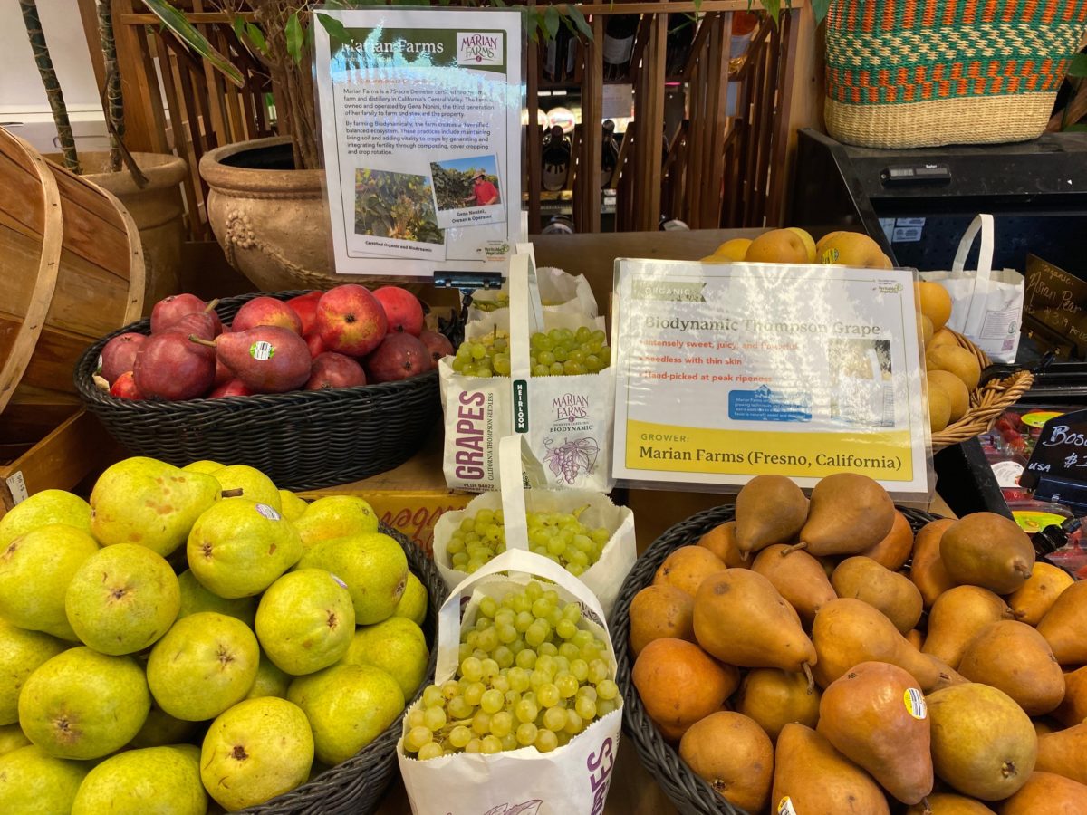Marian Farms Thompson Grape Display Contest Winners - Veritable Vegetable
