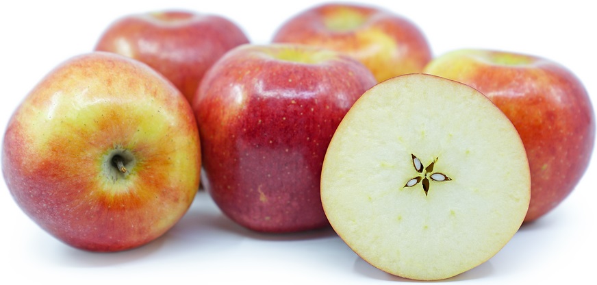 Zipping Into Citrus Season - Veritable Vegetable