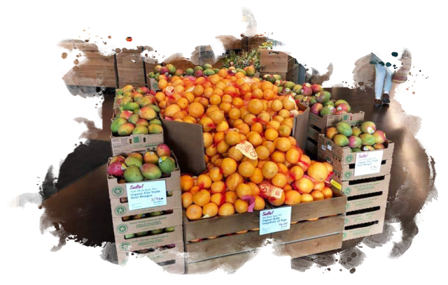 Early Spring Displays - Veritable Vegetable