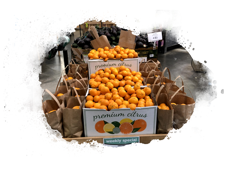 Early Spring Displays - Veritable Vegetable