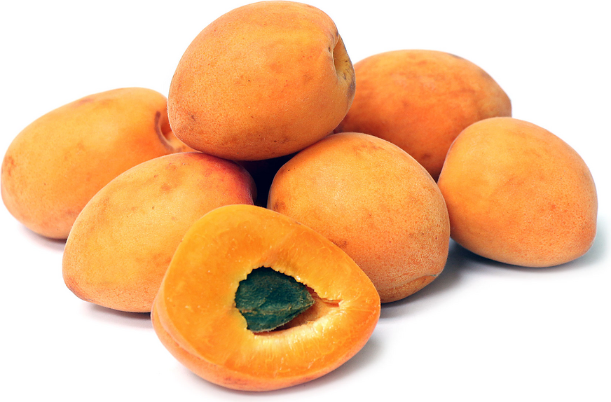 Stone Fruit Varietal Overview - Veritable Vegetable