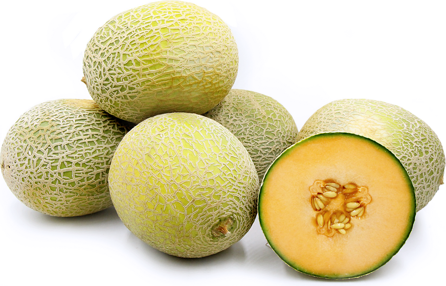 Melon Variety Guide - Veritable Vegetable