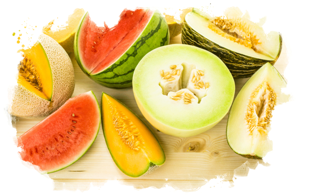 Melon Variety Guide - Veritable Vegetable