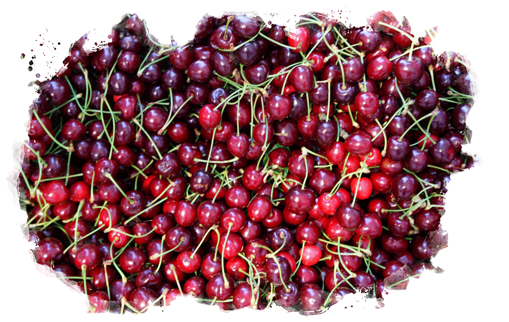 Cherry Varietal Guide - Veritable Vegetable