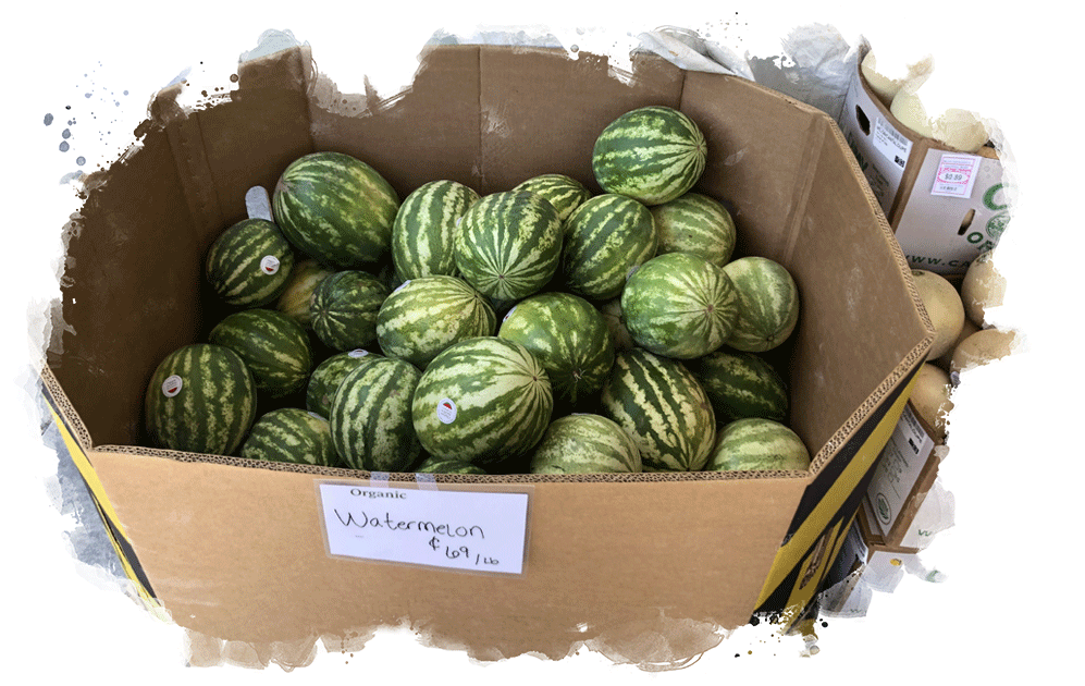 How to Sell More Watermelon Bins - Veritable Vegetable