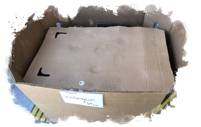 How to Sell More Watermelon Bins - Veritable Vegetable