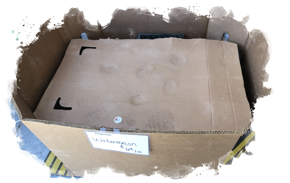 How to Sell More Watermelon Bins - Veritable Vegetable