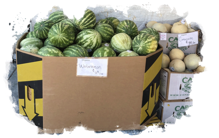 How to Sell More Watermelon Bins - Veritable Vegetable