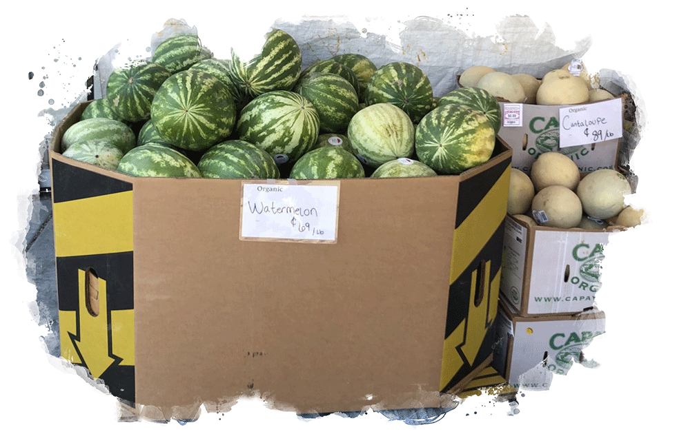 How to Sell More Watermelon Bins - Veritable Vegetable