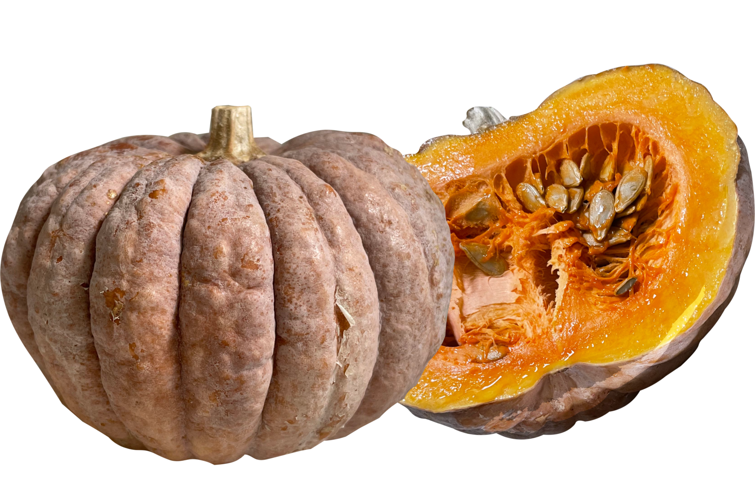 Winter Squash Variety Guide - Veritable Vegetable