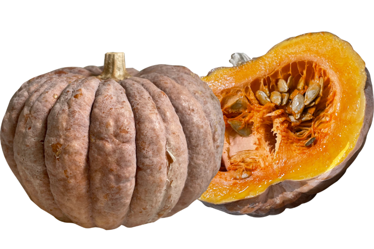 Winter Squash Variety Guide - Veritable Vegetable