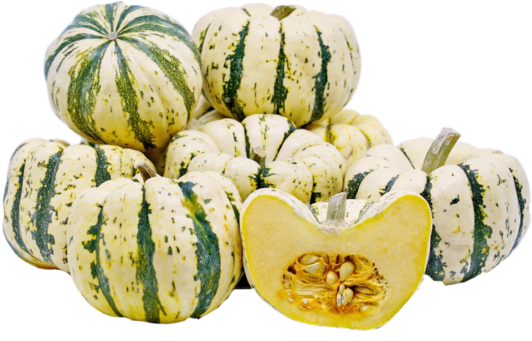 Winter Squash Variety Guide - Veritable Vegetable