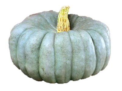 Winter Squash Variety Guide - Veritable Vegetable