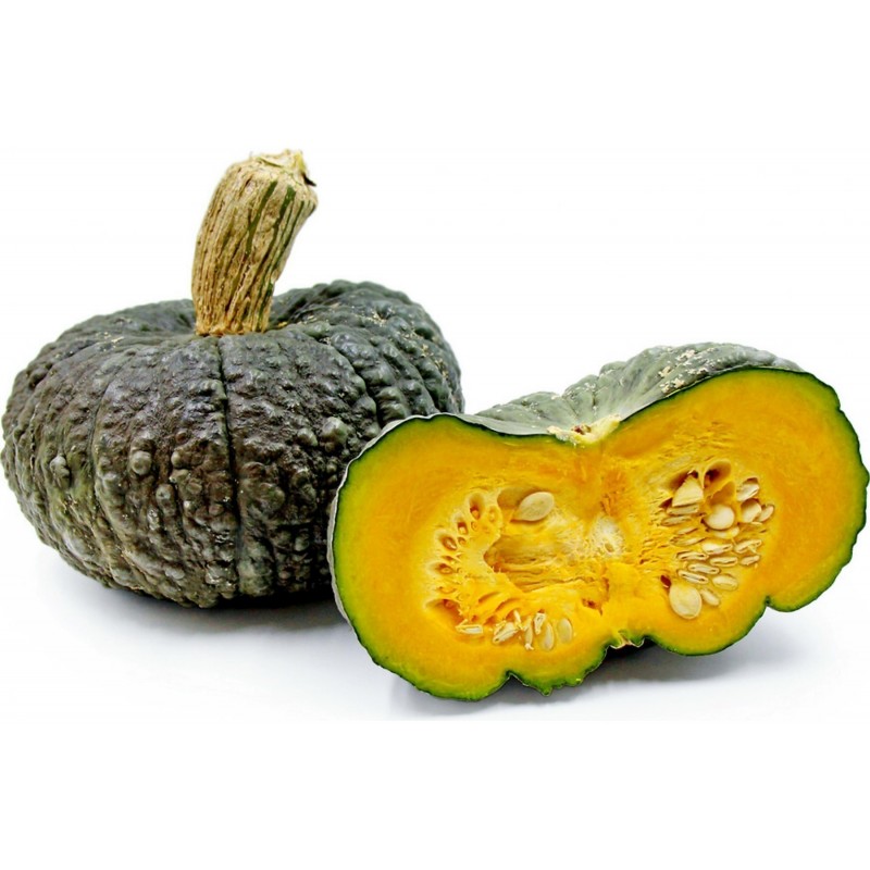 Winter Squash Variety Guide - Veritable Vegetable