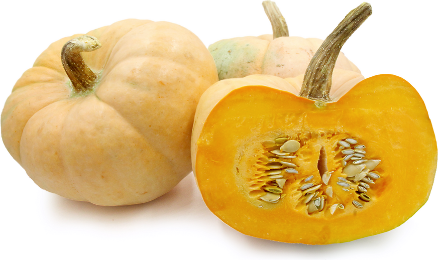 Winter Squash Variety Guide - Veritable Vegetable