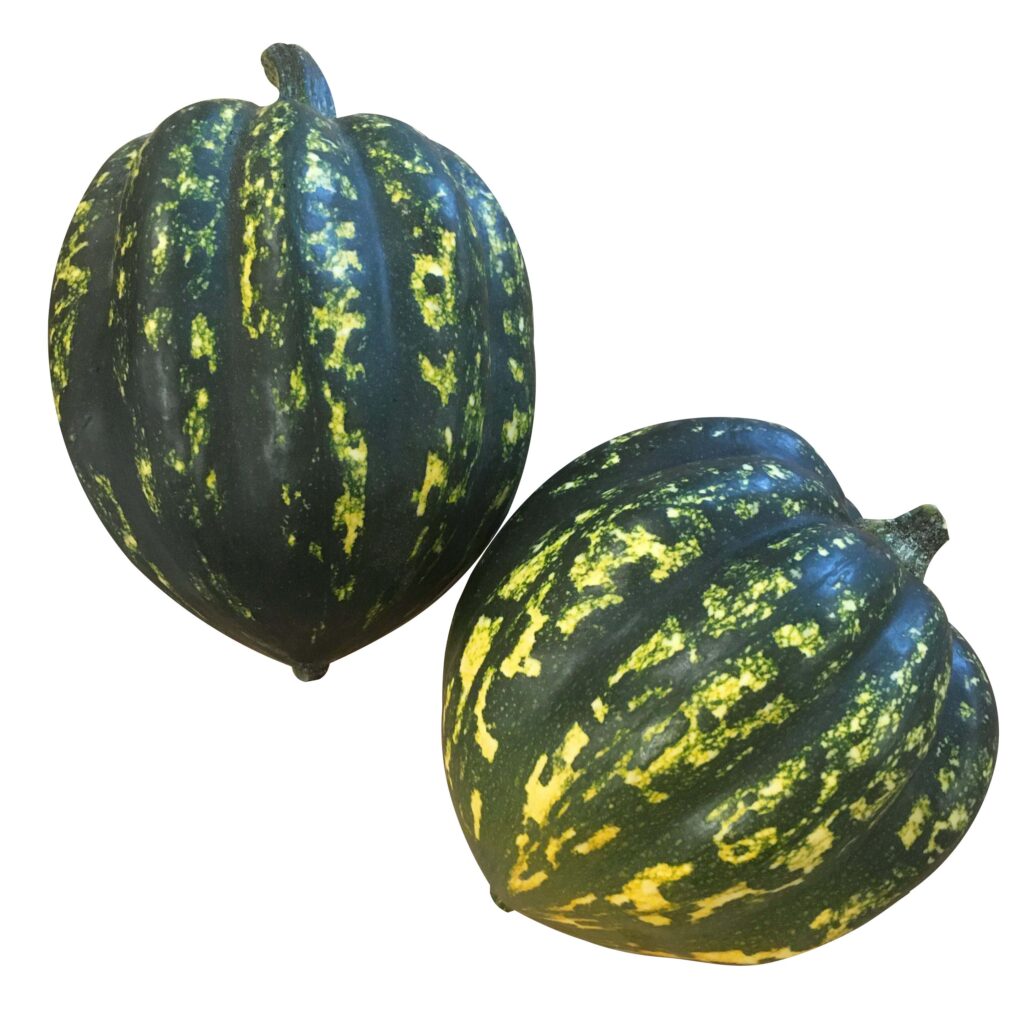 Winter Squash Variety Guide - Veritable Vegetable