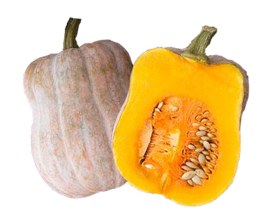 Winter Squash Variety Guide - Veritable Vegetable