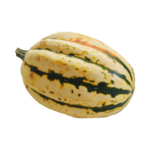 Winter Squash Variety Guide - Veritable Vegetable