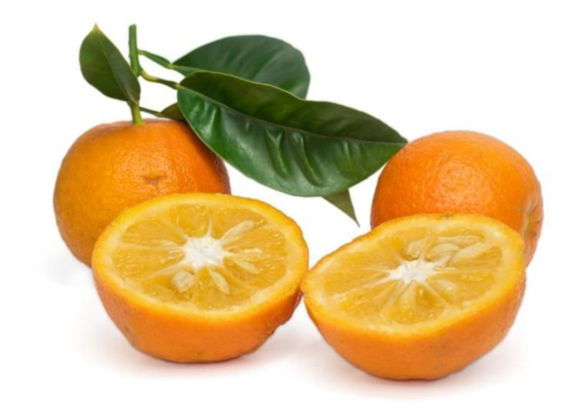 Citrus Variety Guide - Veritable Vegetable