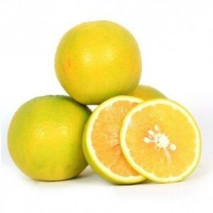 Citrus Variety Guide - Veritable Vegetable
