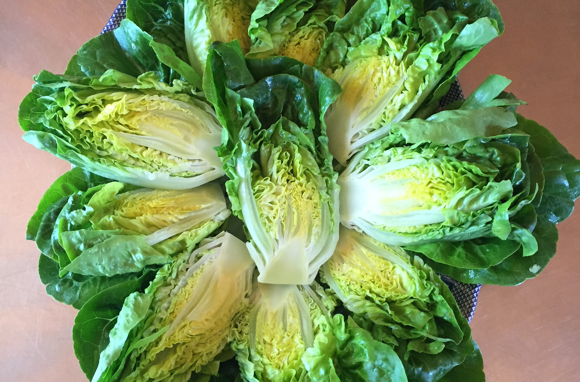 Hidden Gems - Veritable Vegetable