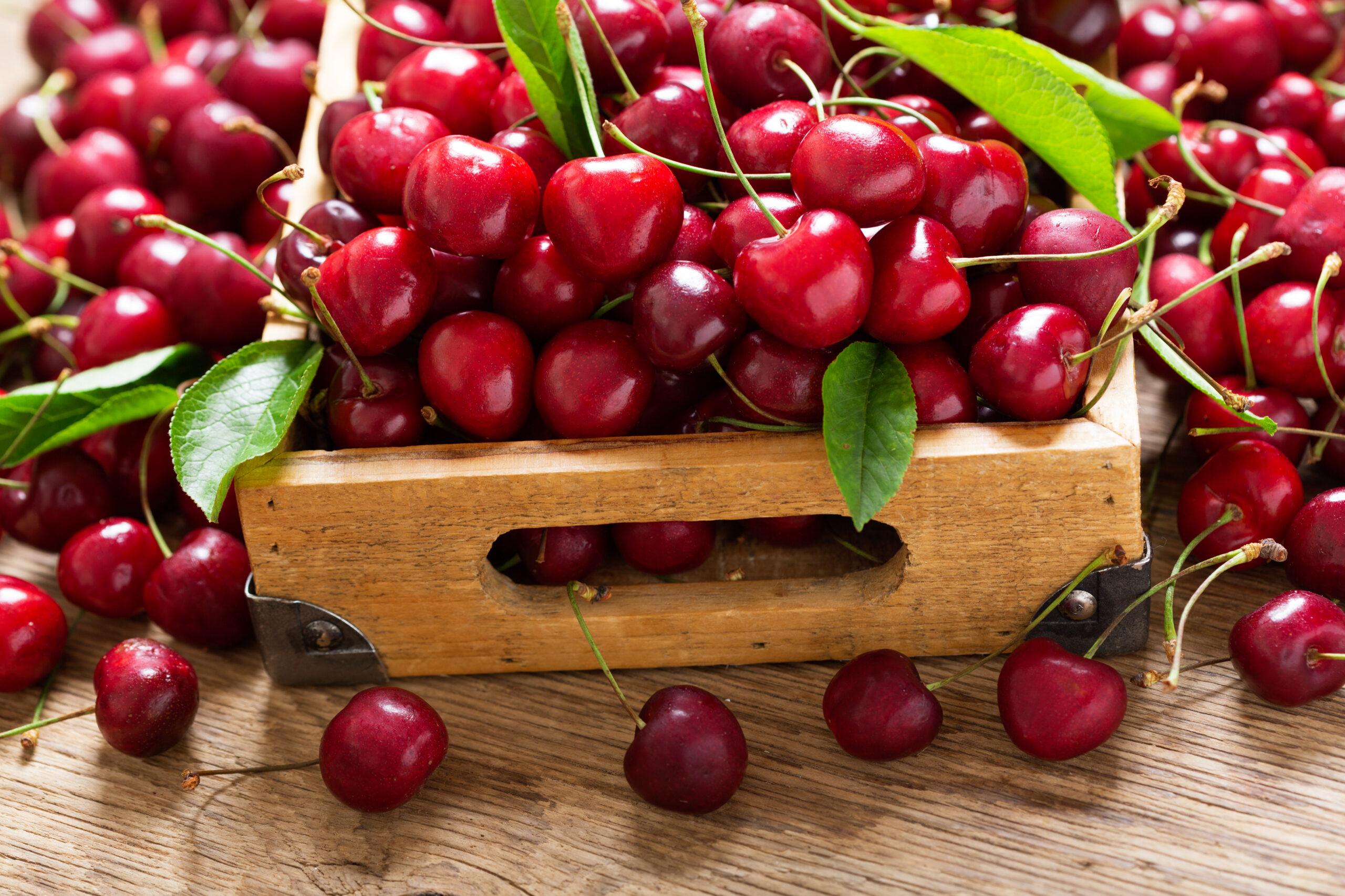 Hello Cherry Season! - Veritable Vegetable