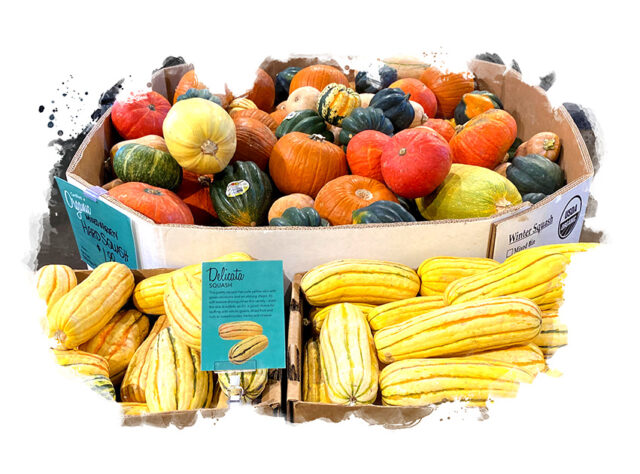 Hard Squash Merchandising Tips - Veritable Vegetable