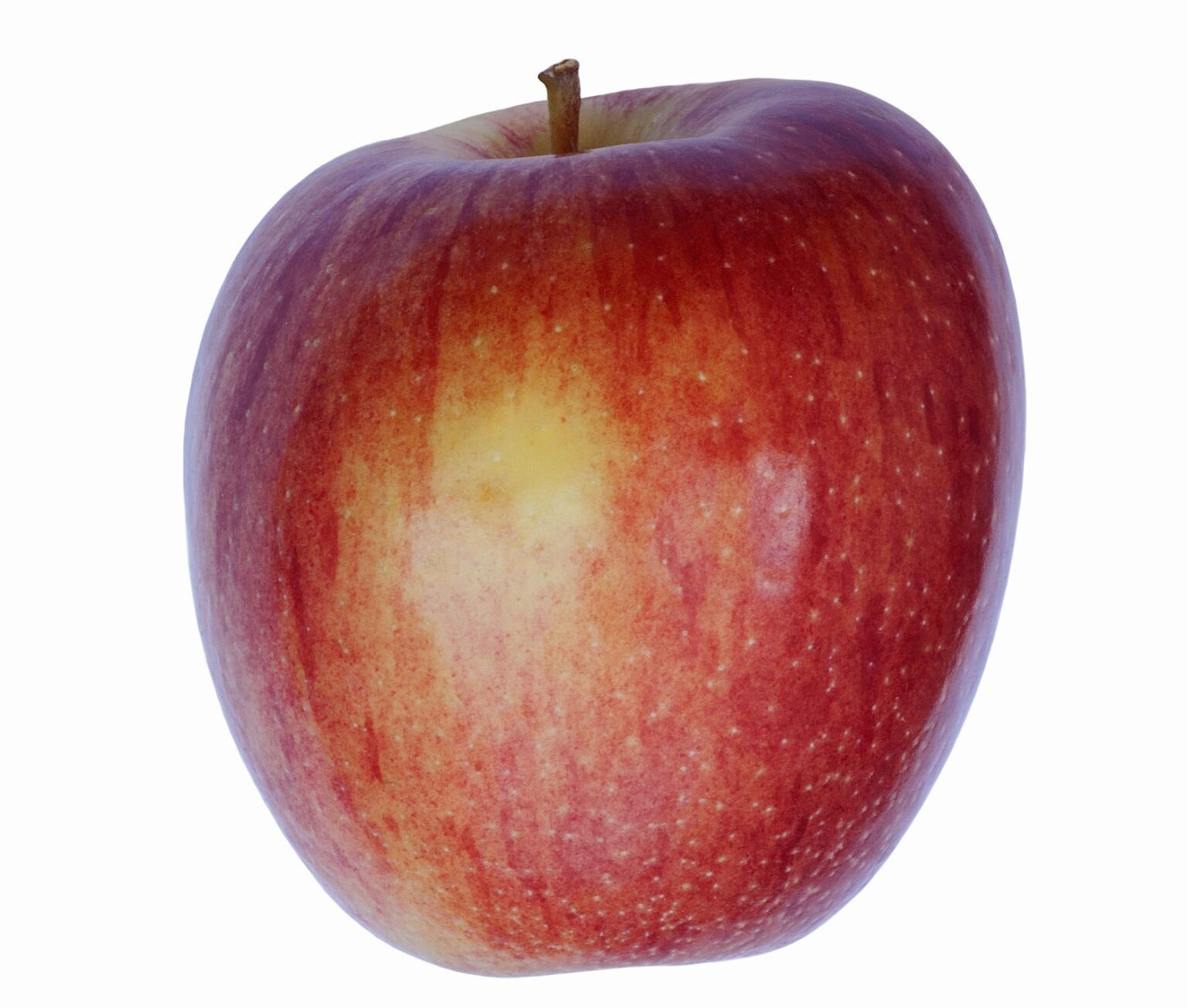 Apple Variety Guide - Veritable Vegetable