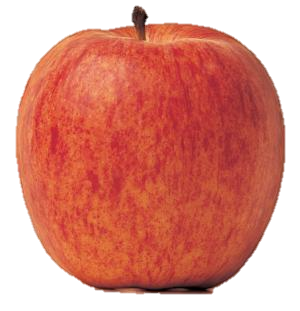 Apple Variety Guide - Veritable Vegetable