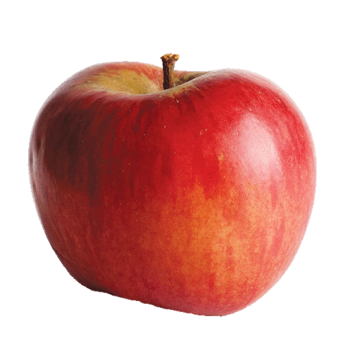 Apple Variety Guide - Veritable Vegetable