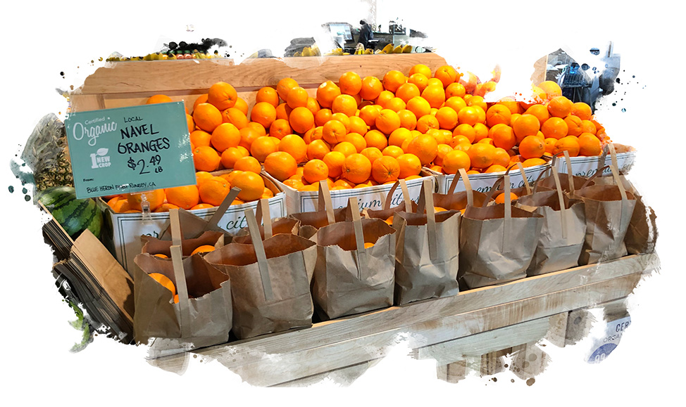 Winter Citrus Merchandising - Veritable Vegetable