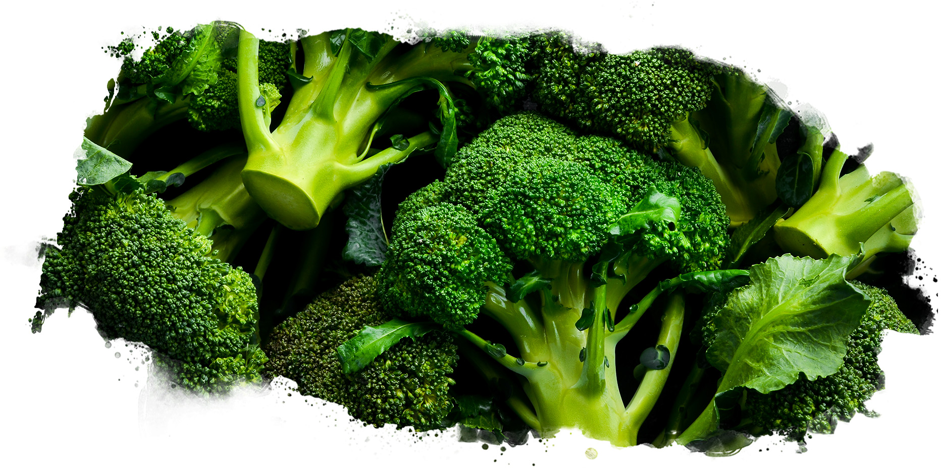 Why is Broccoli a Super Food? - Veritable Vegetable
