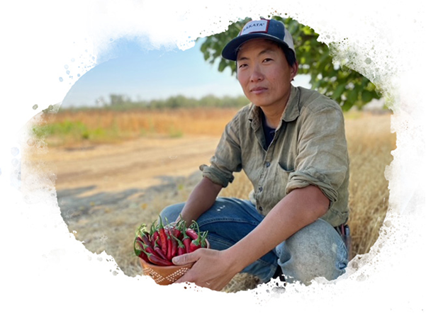 Magnificent Mangoes - Veritable Vegetable