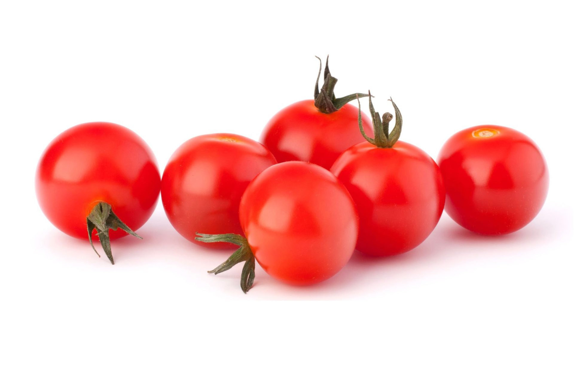 All About Cabbage - Veritable Vegetable