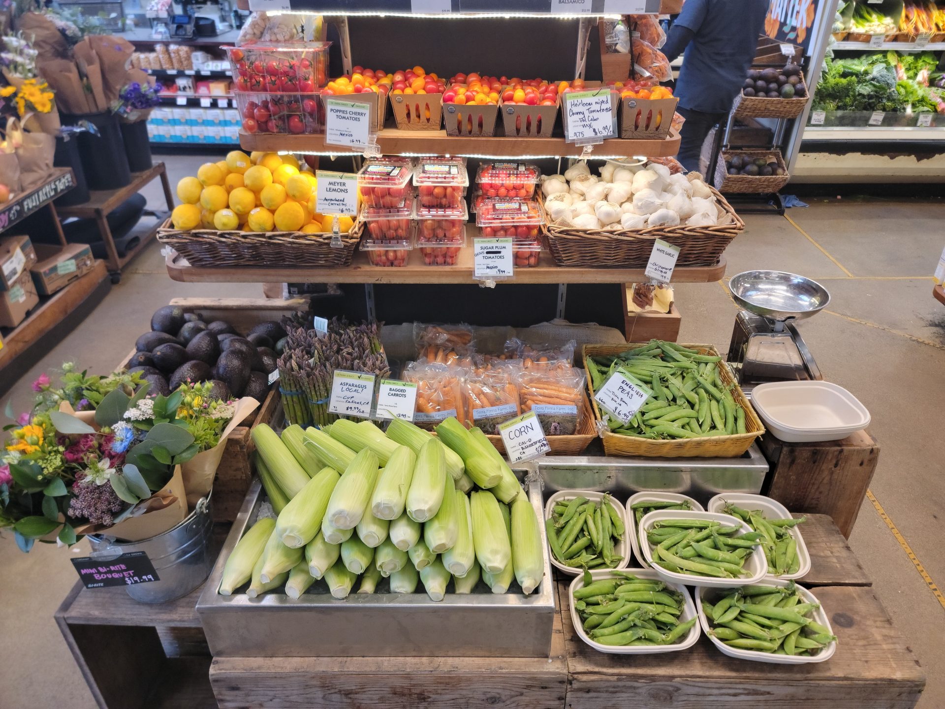 First Taste of California Tomatoes - Veritable Vegetable
