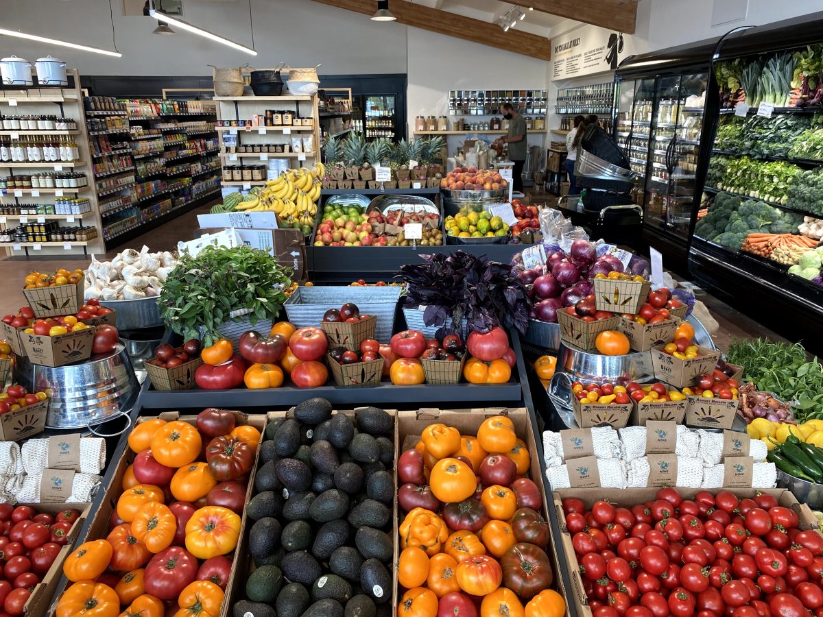 First Taste of California Tomatoes - Veritable Vegetable