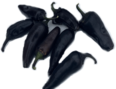 The History of Halloween - Veritable Vegetable