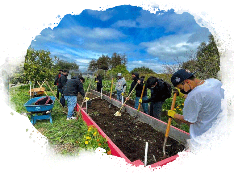 Featured: Urban Tilth - Veritable Vegetable