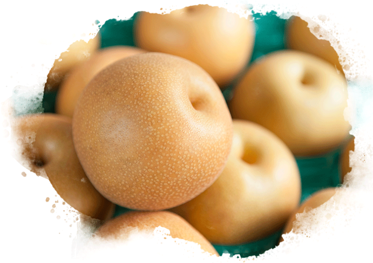 Welcome Asian Pear Season! - Veritable Vegetable