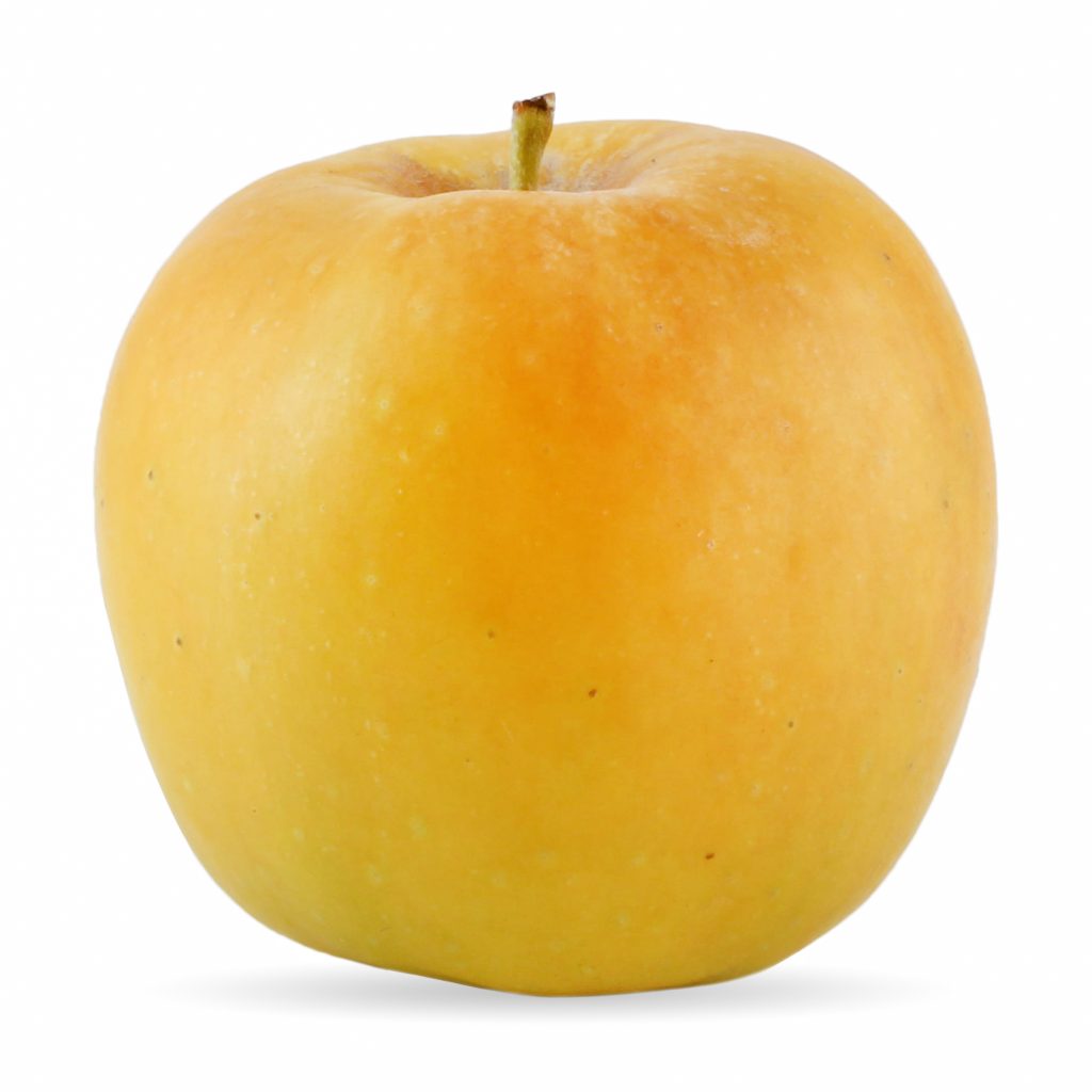 Apple Variety Guide - Veritable Vegetable