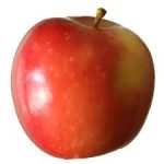 Apple Variety Guide - Veritable Vegetable