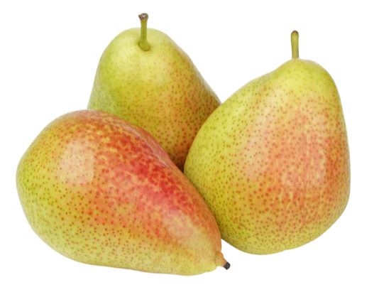 Pear Variety Guide - Veritable Vegetable