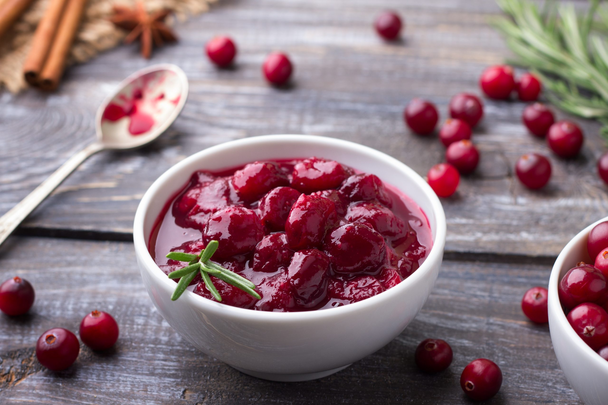 Was Cranberry Sauce Served at the First Thanksgiving? - Veritable Vegetable