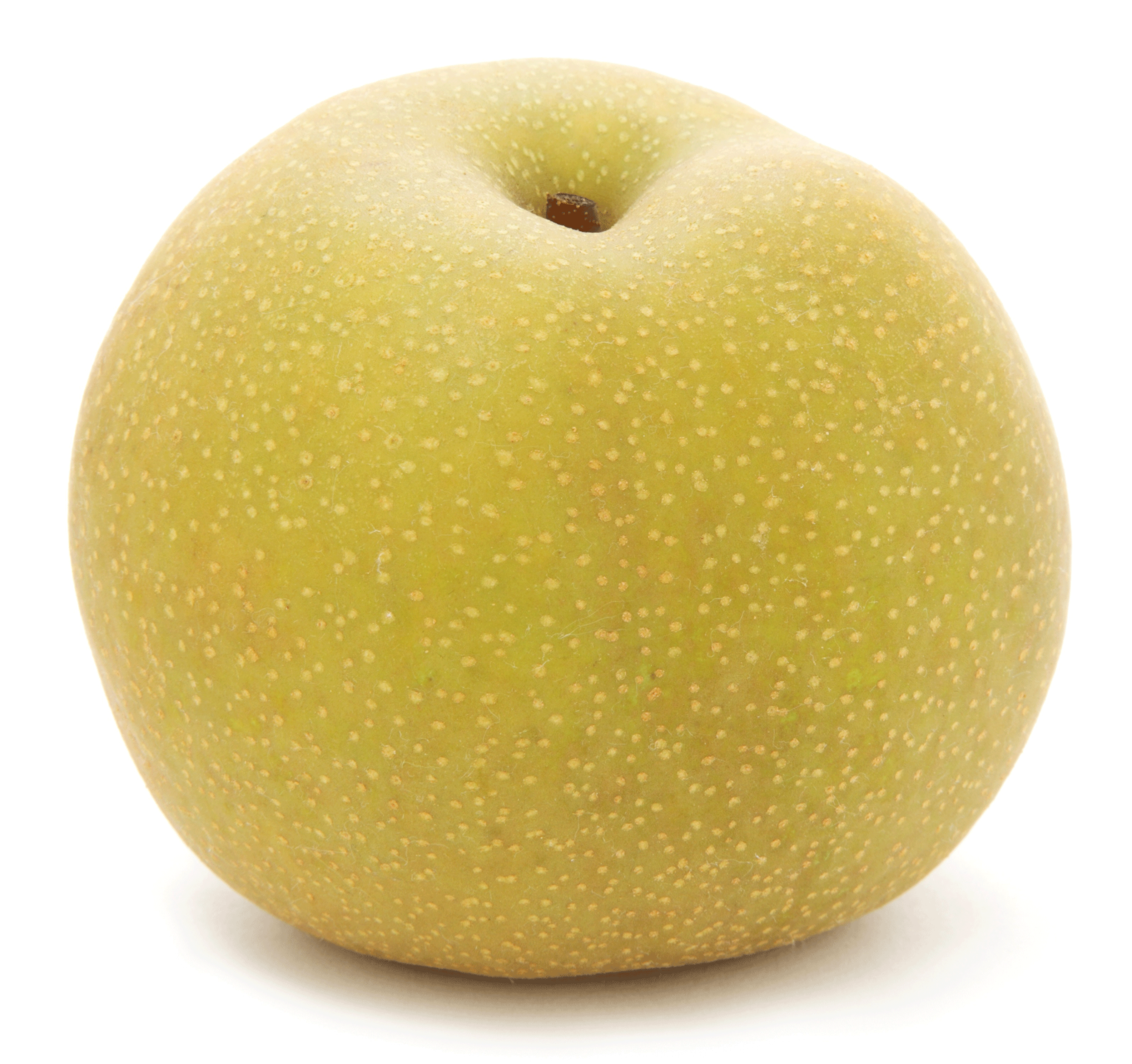 Pear Variety Guide - Veritable Vegetable