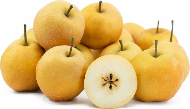 Pear Variety Guide - Veritable Vegetable