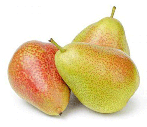 Pear Variety Guide - Veritable Vegetable